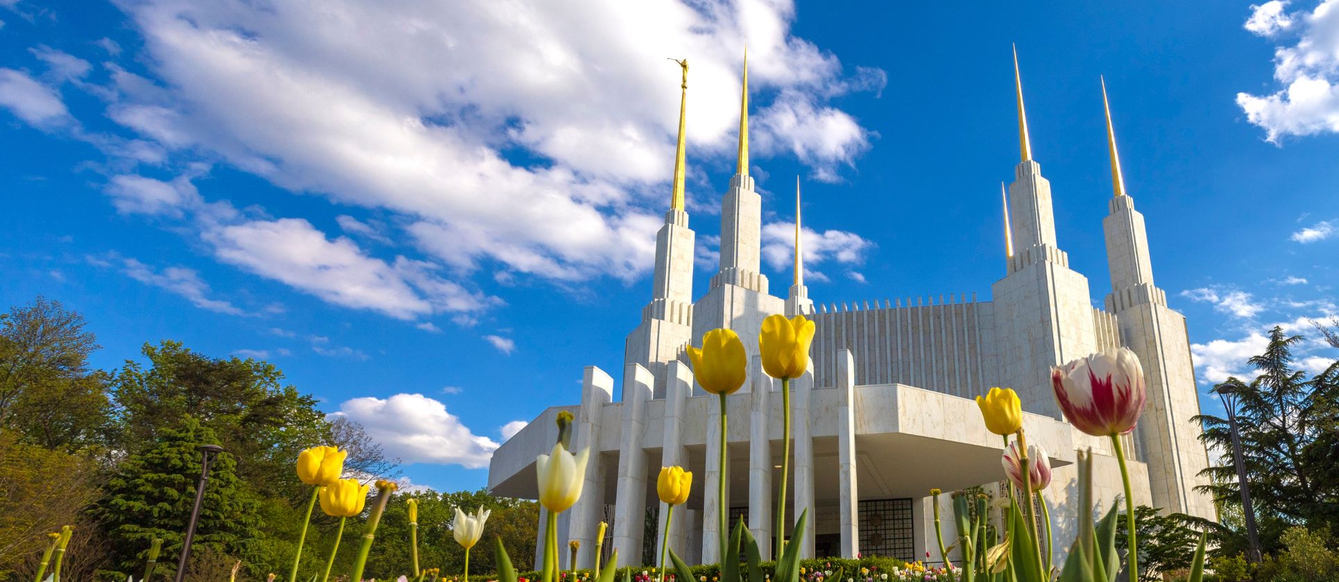 Washington DC Temple - Home